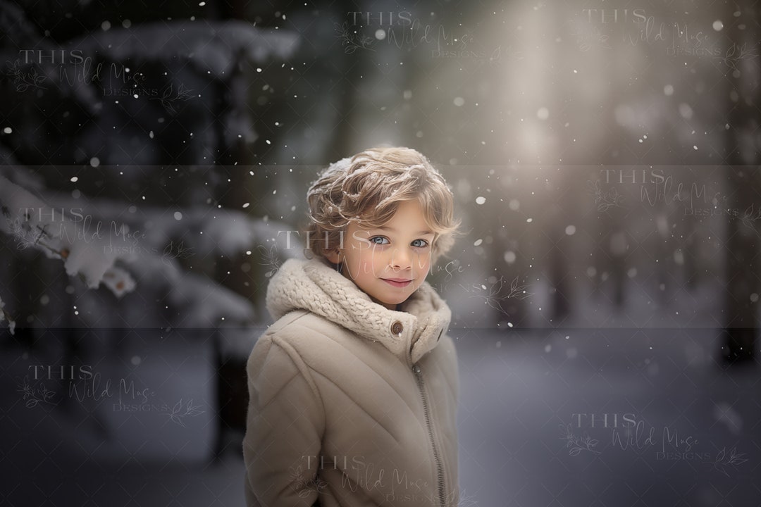 Snow Path Scene Digital Background, Winter, Snow, Snow Covered Trees ...