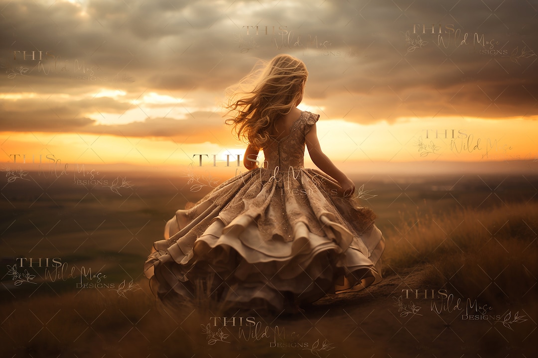 Prairie Sunset Fields Digital Background, Golden Hour, Sunset, Golden ...