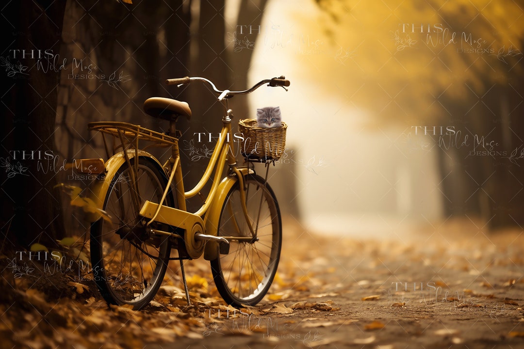 Fall Bicycle Path Digital Background, Fall, Autumn Path, Nature Path ...