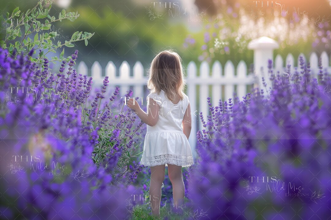 White Picket Fence Digital Backdrop, White Fence, Spring, Summer ...
