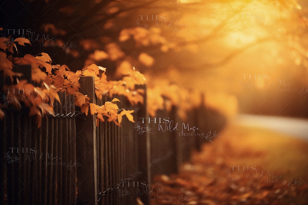 Fall Wood Fence Digital Background Autumn Fall Tones - Etsy
