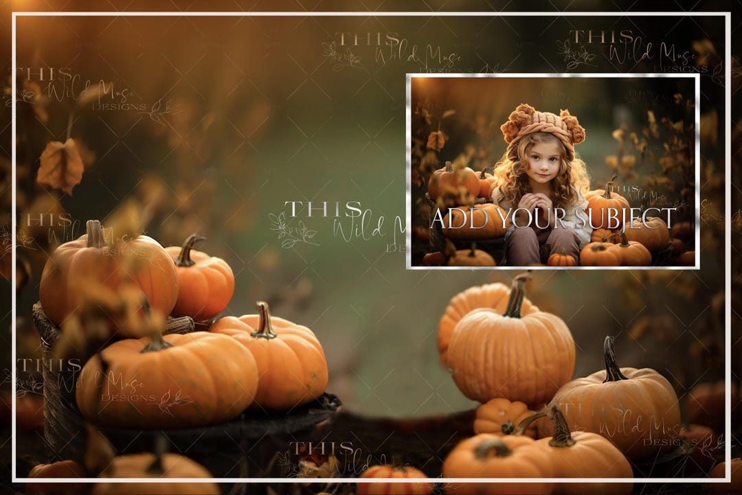 Fall Digital Backdrop, Pumpkin Patch Sunset, Portrait Backdrop, Bokeh ...