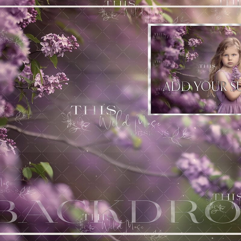 Lilac Bush - Etsy