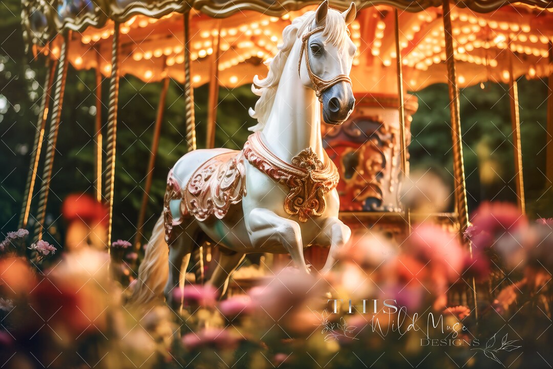 Carousel Horse Ride, Summer, Flowers, Carousel Lights, Golden Hour ...