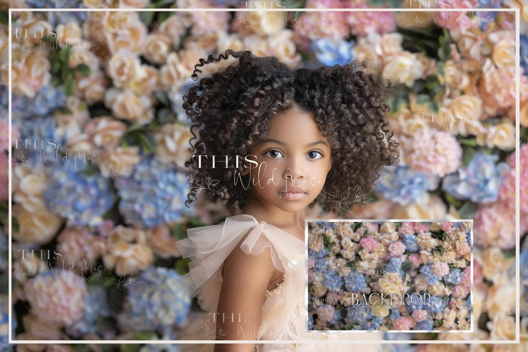 Hydrangea Flower Studio Backdrop, Spring Blooms, Hydrangeas, Flower ...