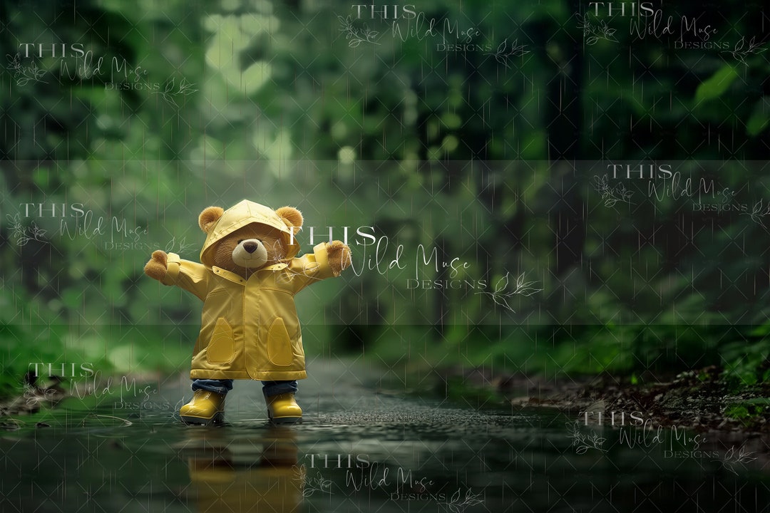 Splashing in the Rain With Teddy, Summer Rain, Teddy Bear, Park Path ...