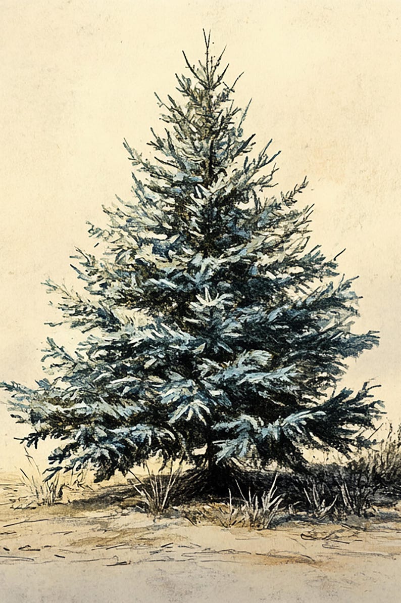 Vintage Christmas Trees Print, Watercolor Pine Forest Clipart (digital ...