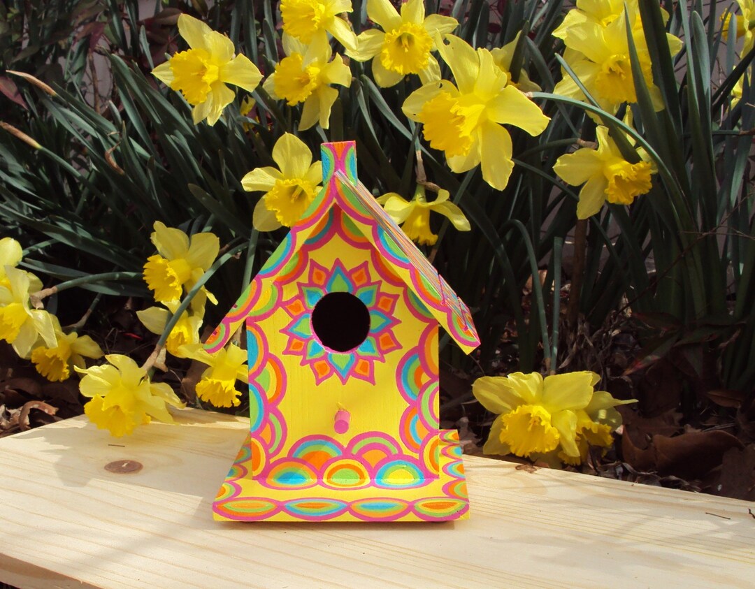 Spring Fun Decorative Birdhouse Hand Painted Swirl Psychedelic Designs ...