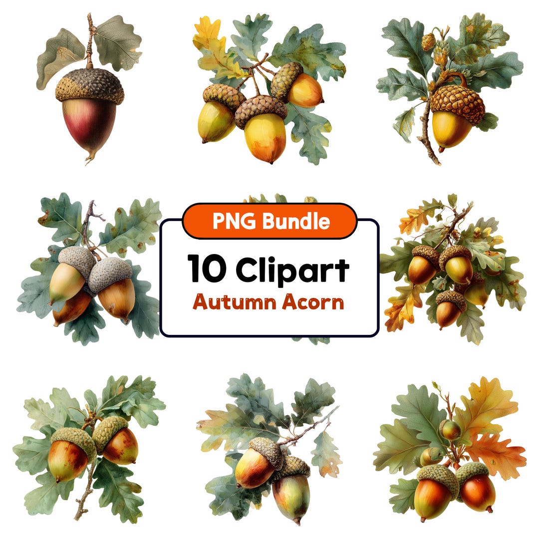 Acorn Clipart Bundle: Autumn Oak Leaves, Thanksgiving Decor (digital ...