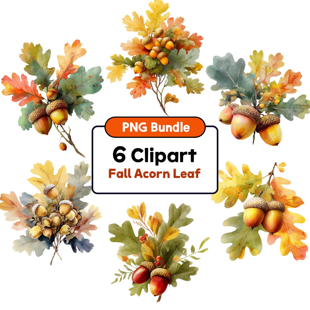 Acorn Leaf PNG Bundle | 6 Fall Clipart | Autumn Oak Leaves Digital ...