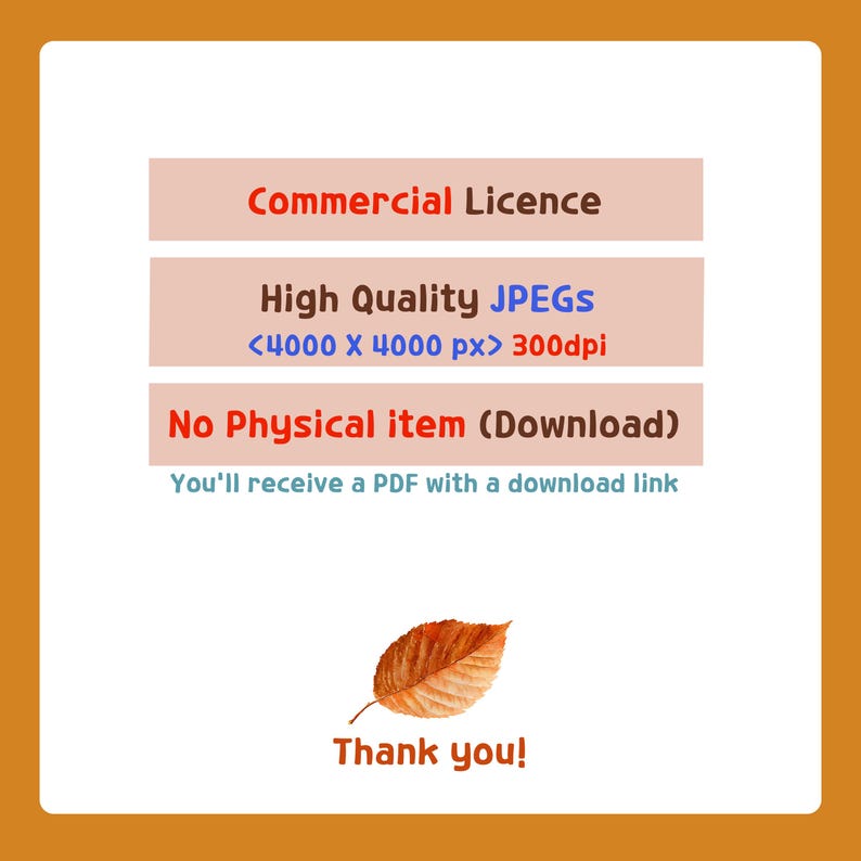 Autumn Oak Leaf Frame Clipart Bundle: Fall Foliage PNG (digital ...