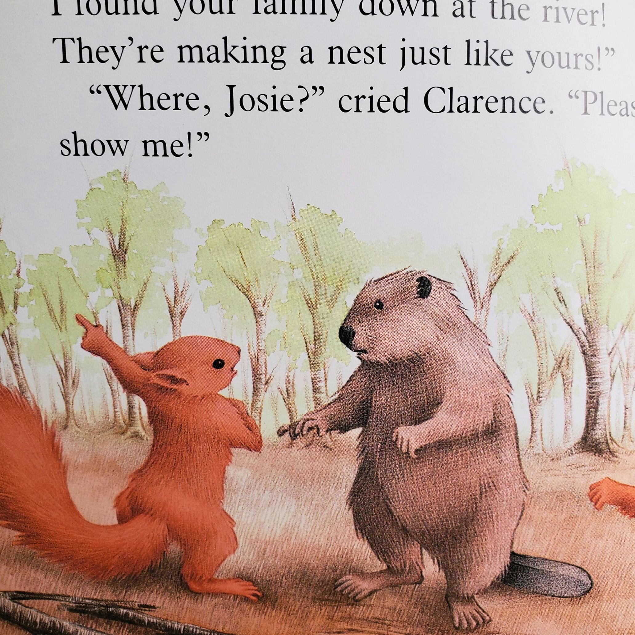 Beaver Storybook Beaver Gets Lost, a Little Animal Adventures Book ...