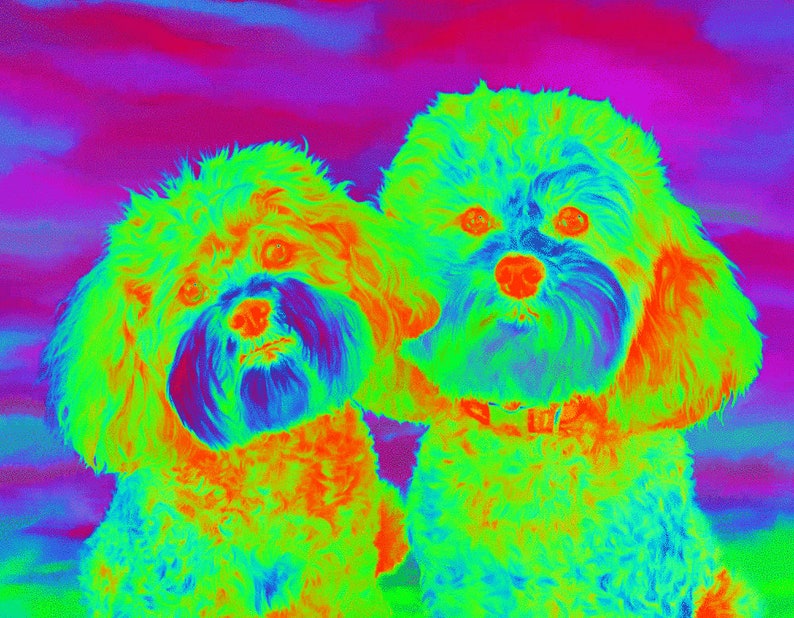 Custom Pet Animated GIF/MP4 Digital File of Your Dog or Cat - Etsy