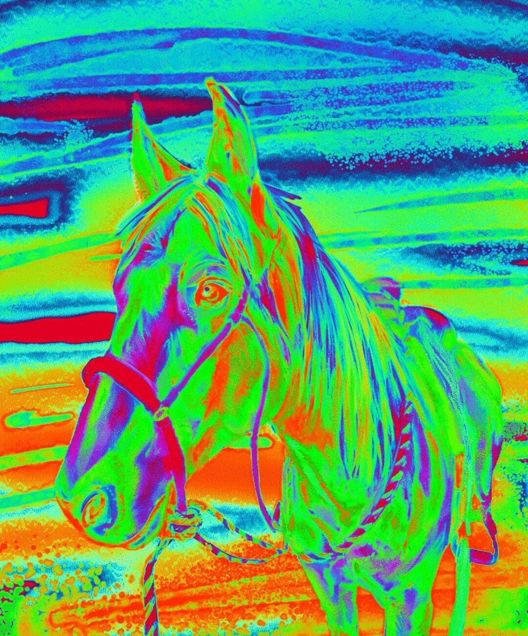 Custom Pet Animated GIF/MP4 Digital File of Your Dog or Cat Flashing ...