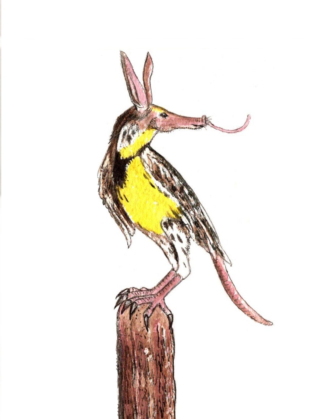 Funny Aardvark Art Meadowlark Fine Art Print , Aardlark Bird Print - Etsy
