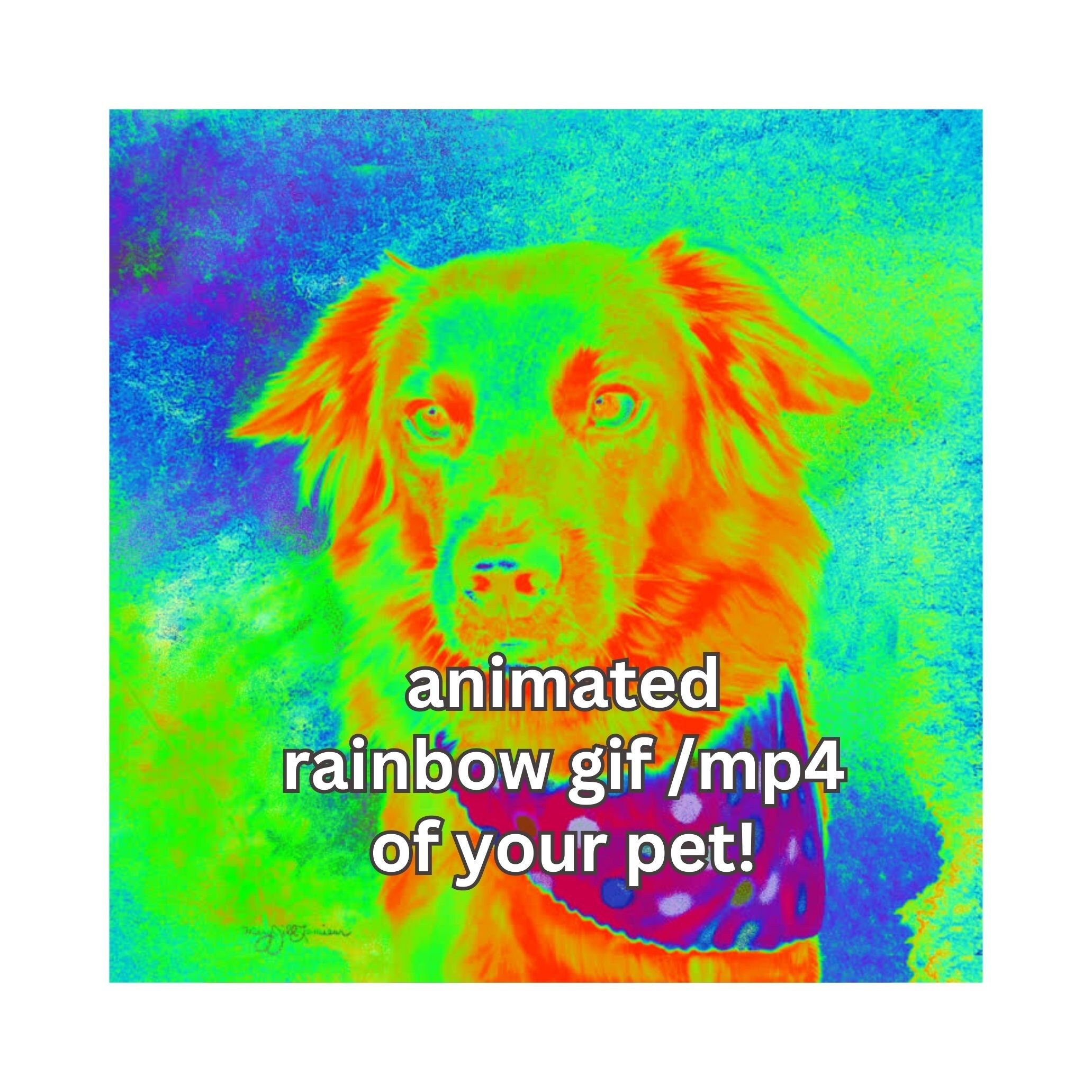 Custom Pet Animated GIF/MP4 Digital File of Your Dog or Cat Flashing ...