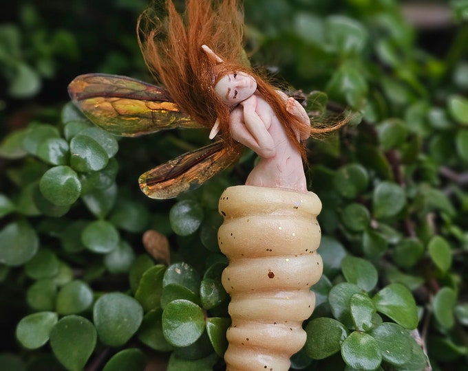 Middreamers Medium Scale Sized Ooak Butterfly Fairy Danette - Etsy