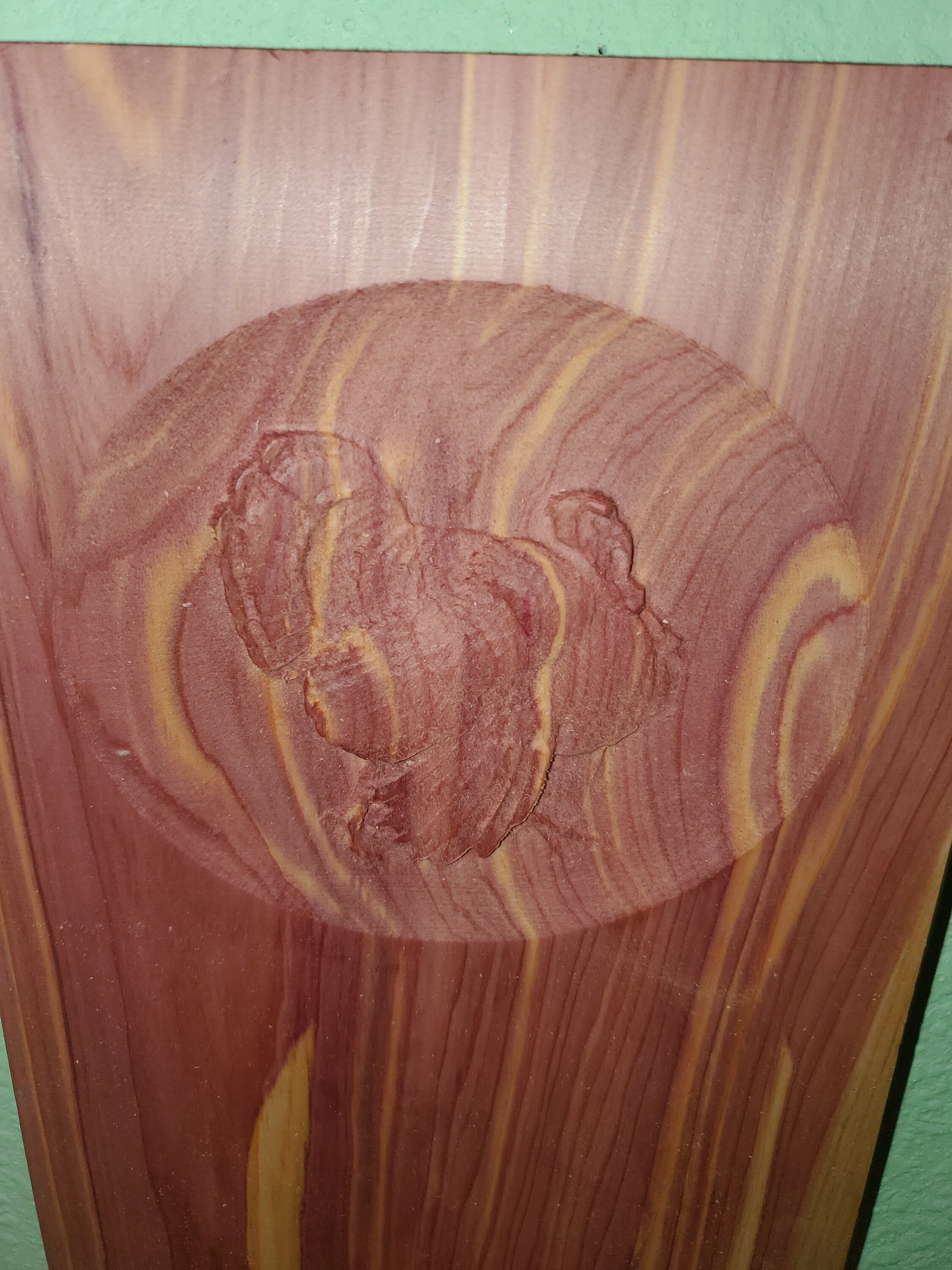 Turkey call display/pot call/turkey pot call/turkey | Etsy