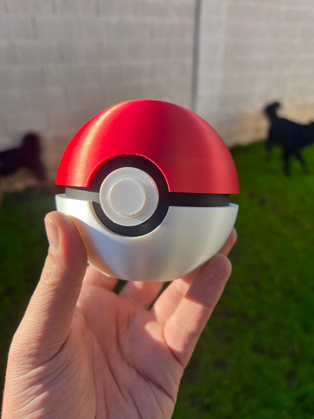 Pokeball Dice Stash - Etsy