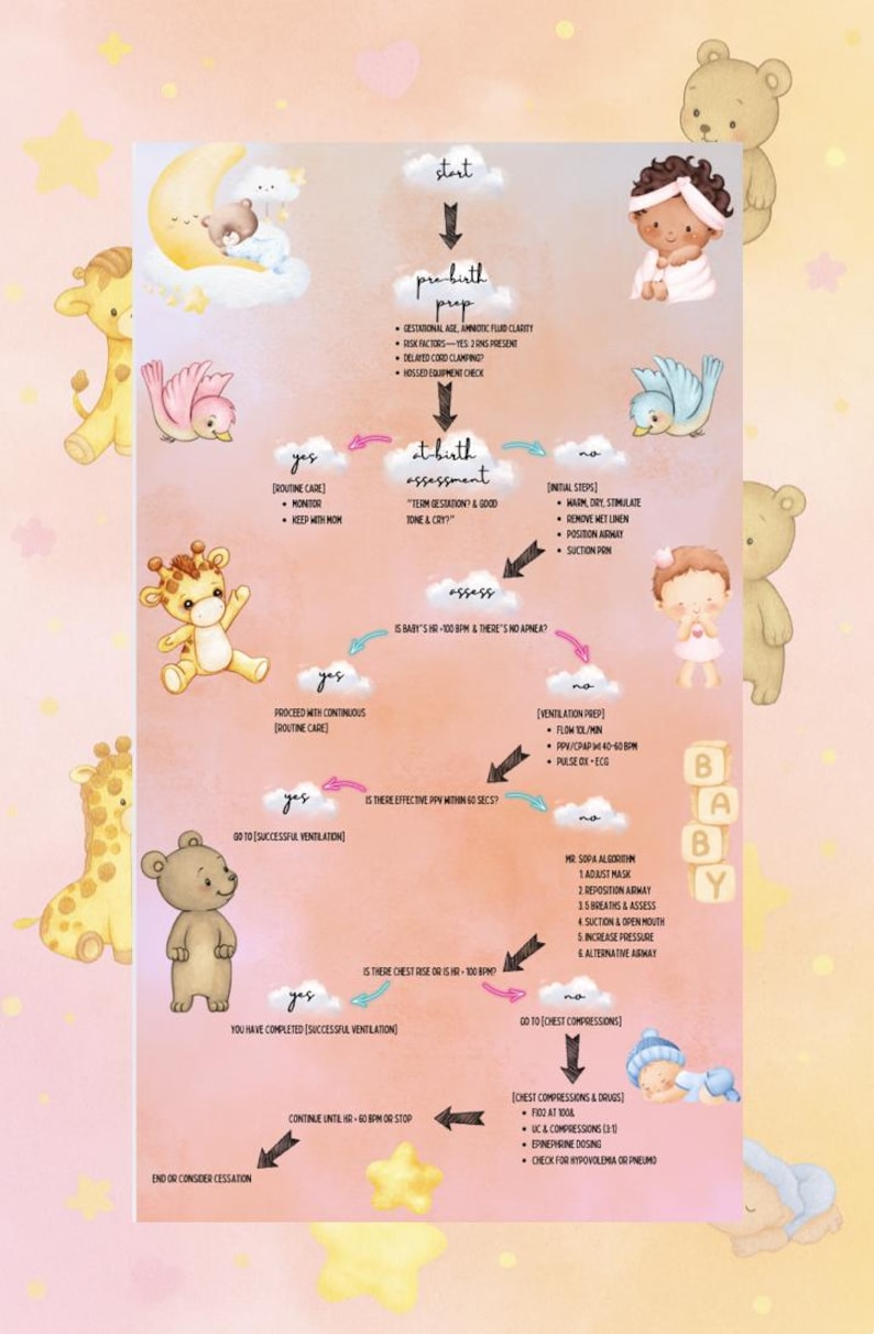 Cute Pastel NRP Flowchart PDF – Printable Neonatal Resuscitation Guide ...