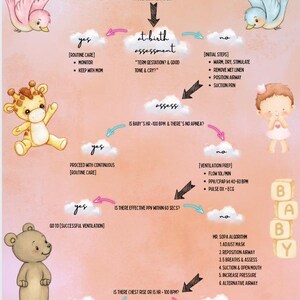 Neonatal Resuscitation Guide (PDF Downloadable Print - Etsy