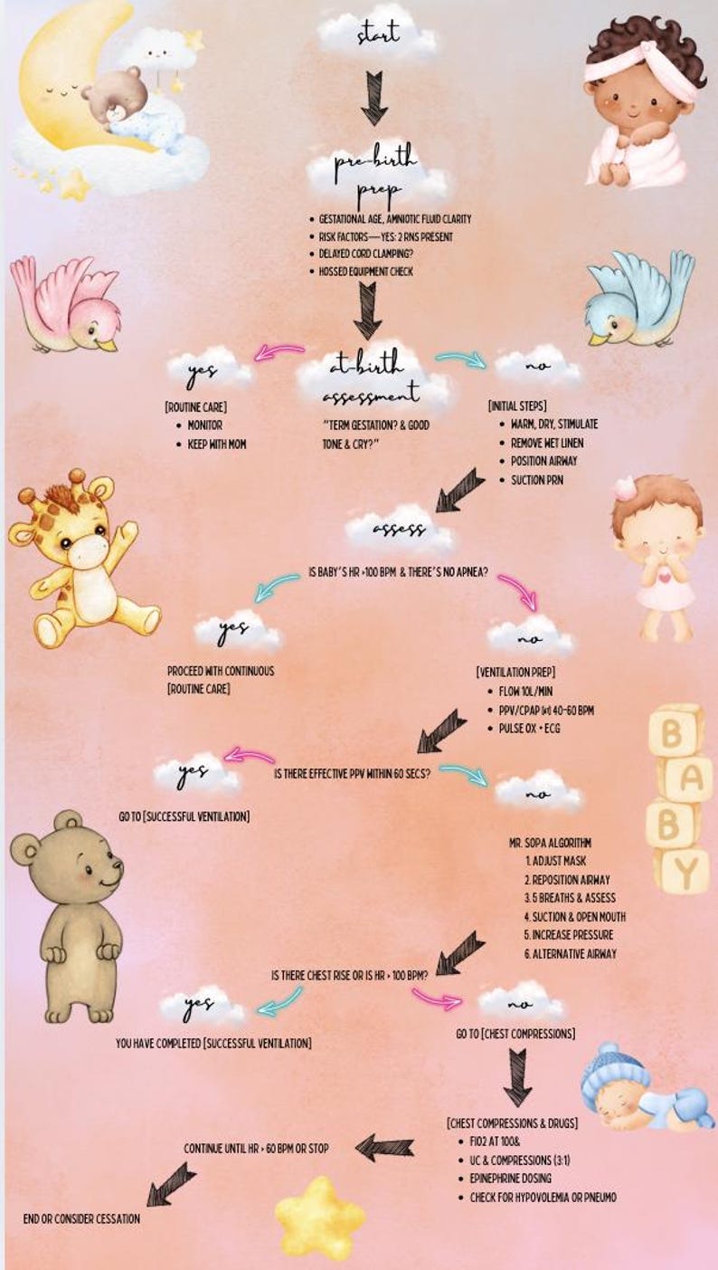 Cute Pastel NRP Flowchart PDF – Printable Neonatal Resuscitation Guide ...