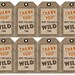 Jungle Safari Adventure Gift Tags Thank You Tags. Favor Tags - Etsy