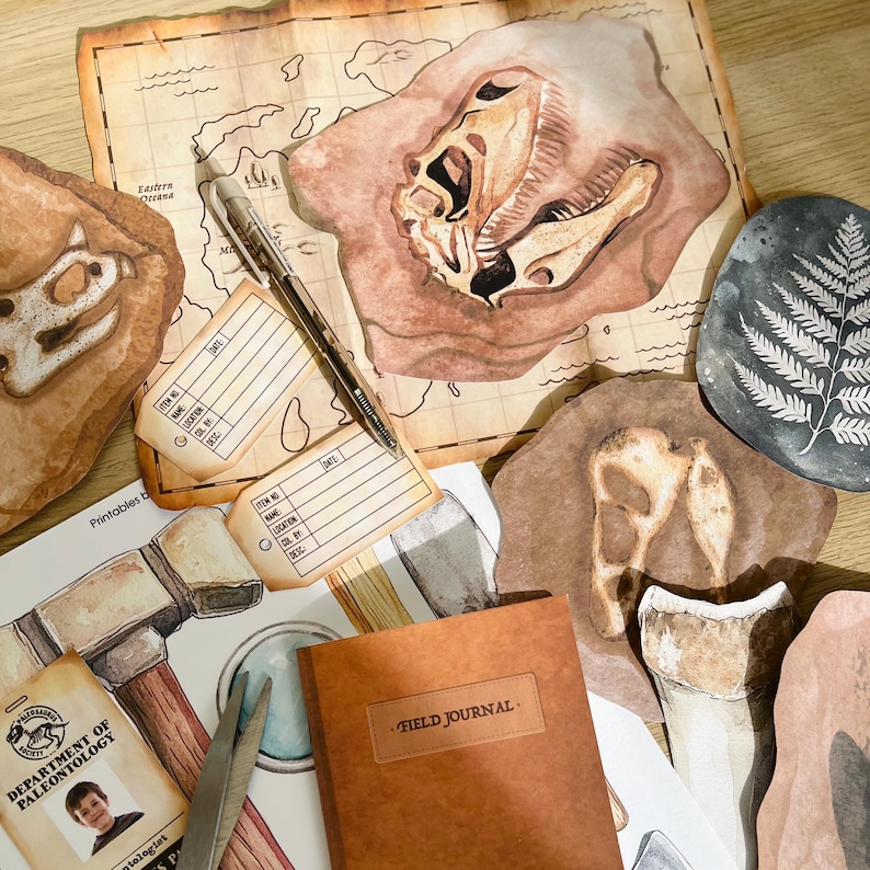 Paleontology Dinosaur Dig Dramatic Play Kit, Dinosaur Excavation ...