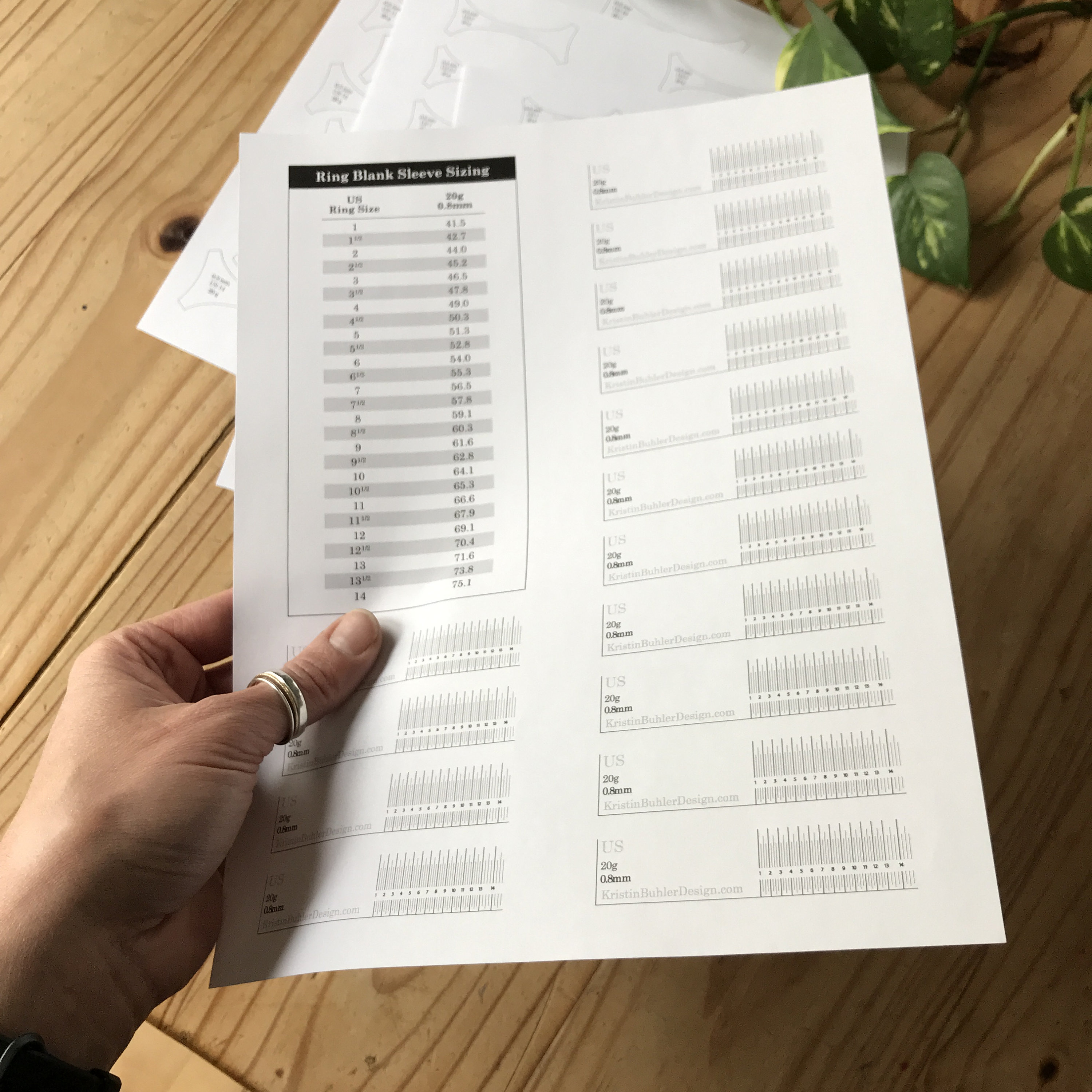 Hollow Form Signet Ring Template US 1-14 20gdigital - Etsy UK