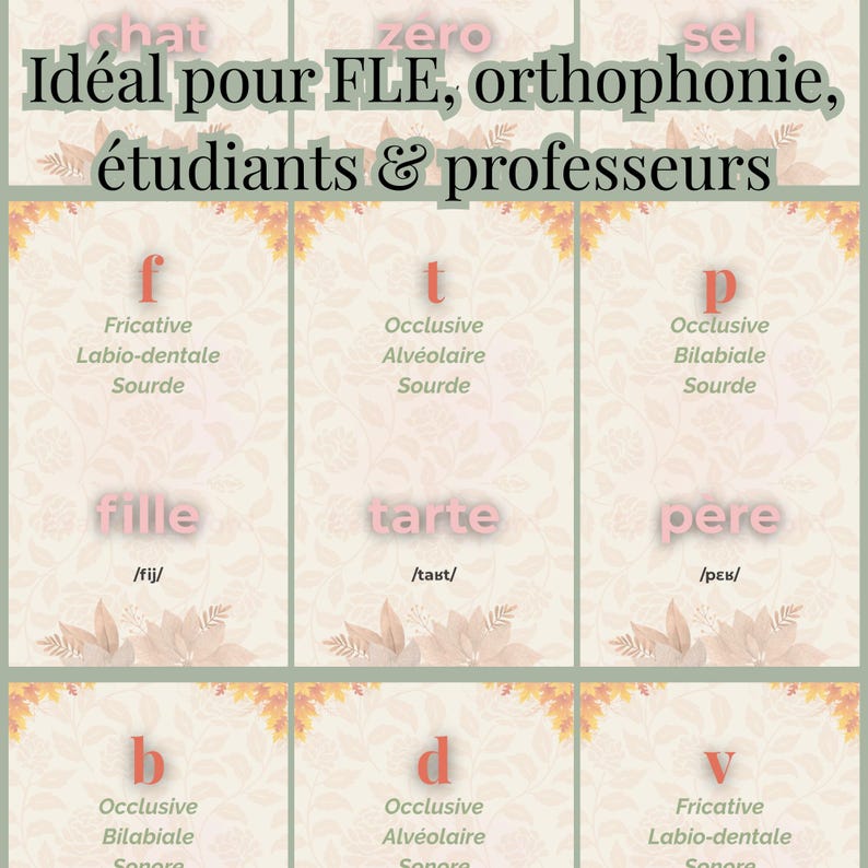 French Phonetic Alphabet IPA | Educational Cards PDF + PNG | French ...