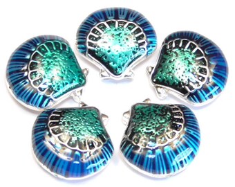 Turquoise sea shell | Etsy