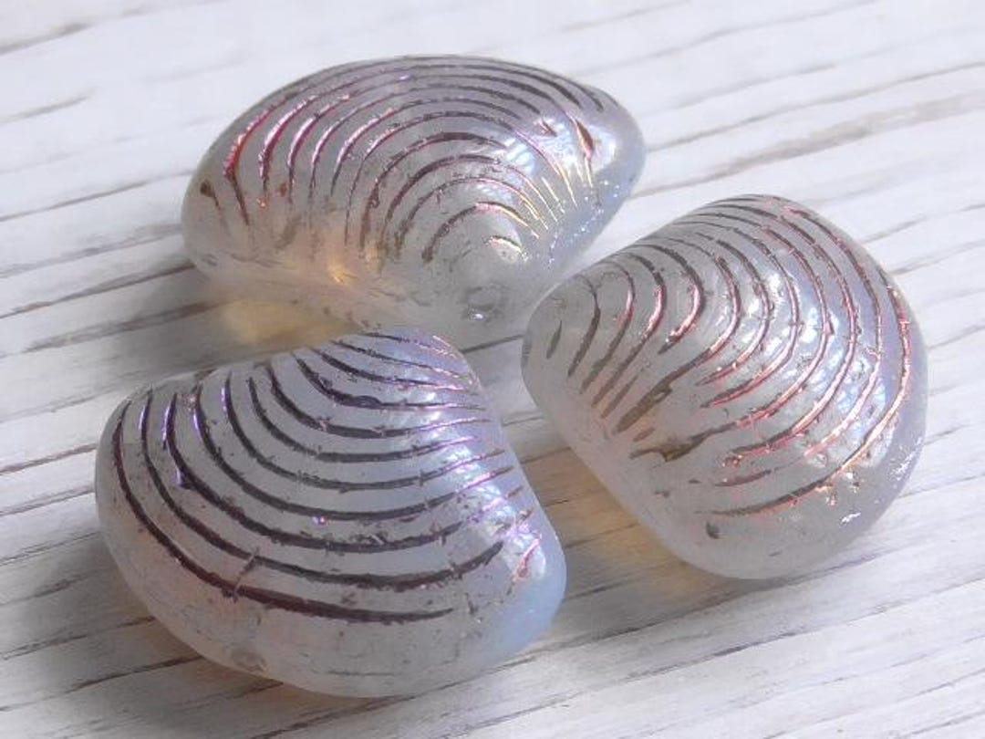 3 - Czech 19x16mm Rustic Venus Sea Shell Translucent White Opaline ...