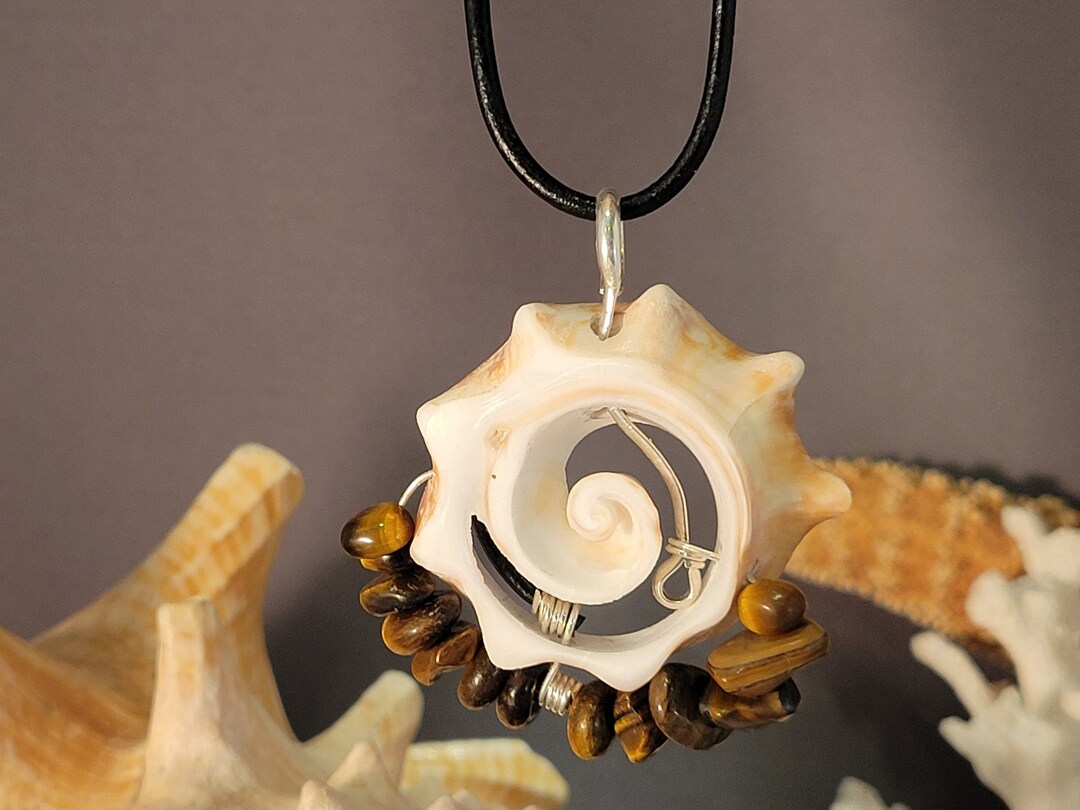 Sliced Conch Sea Shell With Silver Wire Strung Though Tigers Eye ...