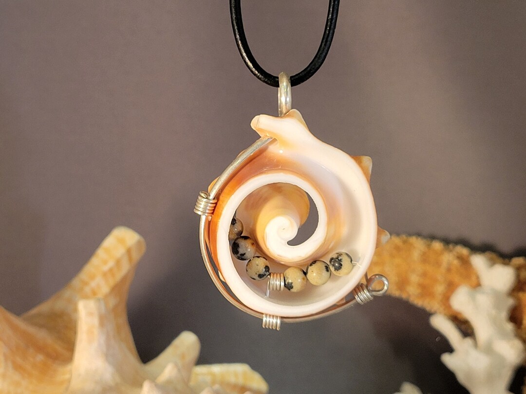 Sliced Conch Sea Shell Pendant With Silver Wire Through Dalmatian Stone ...