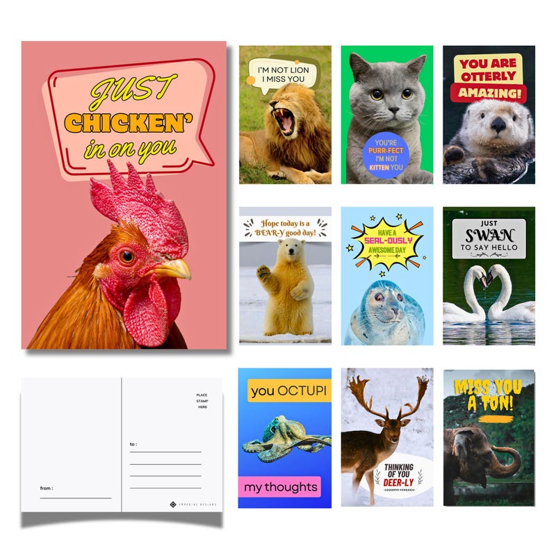 Funny Postcards - Etsy