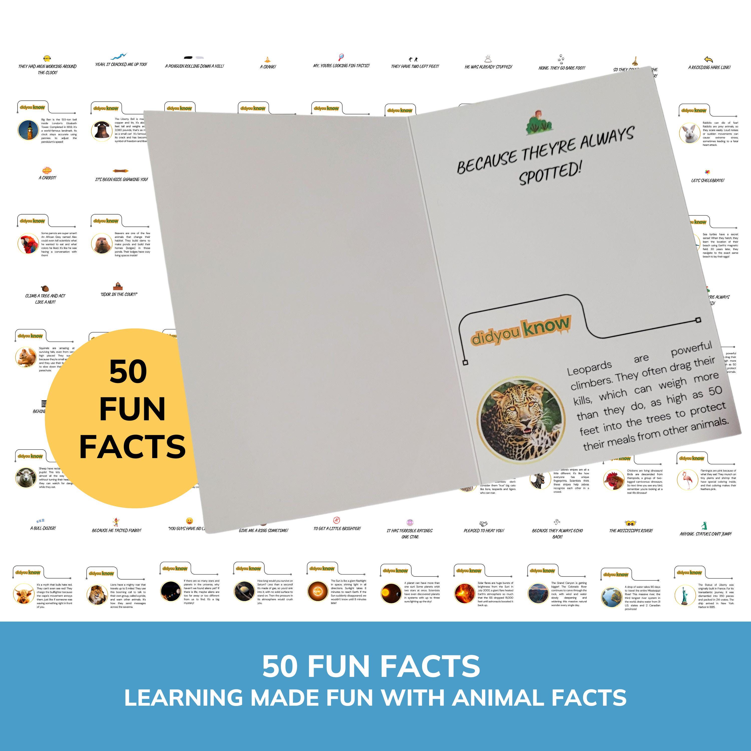 Animal Jokes & Fun Facts Cards for Kids: 50 Unique Designs With ...