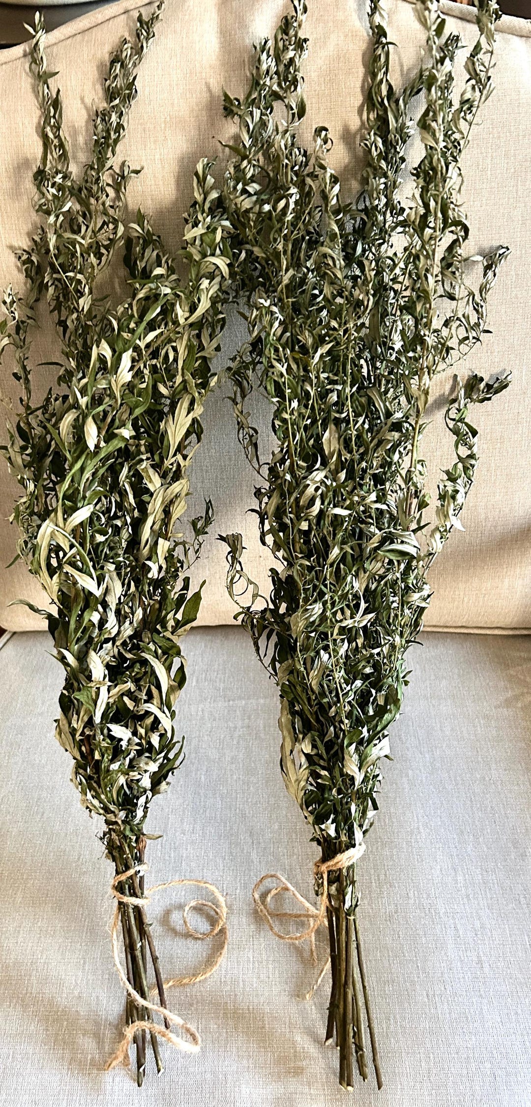 Dried Mugwort Plants 18" Whole Leaves on Stems, 2025 Harvest - Etsy