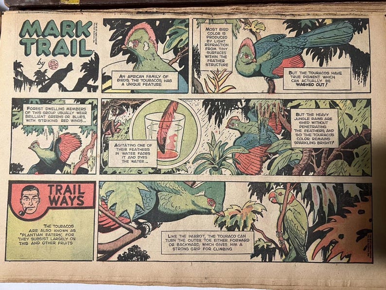 1960-63 Mark Trail Comics (180+) Scrapbooks Environmental Science ...