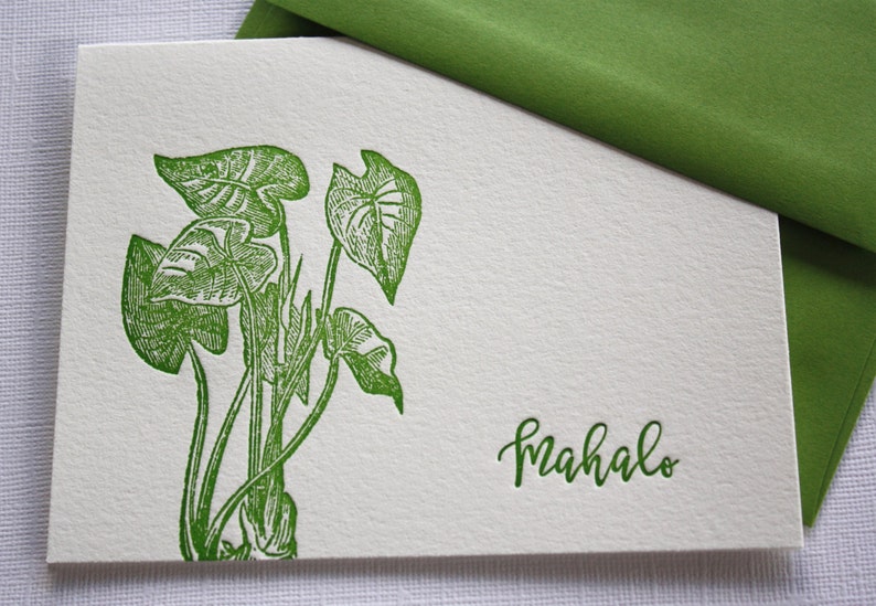 Kalo Taro Hawaii Letterpress Cards Aloha Mahalo Forest Green - Etsy