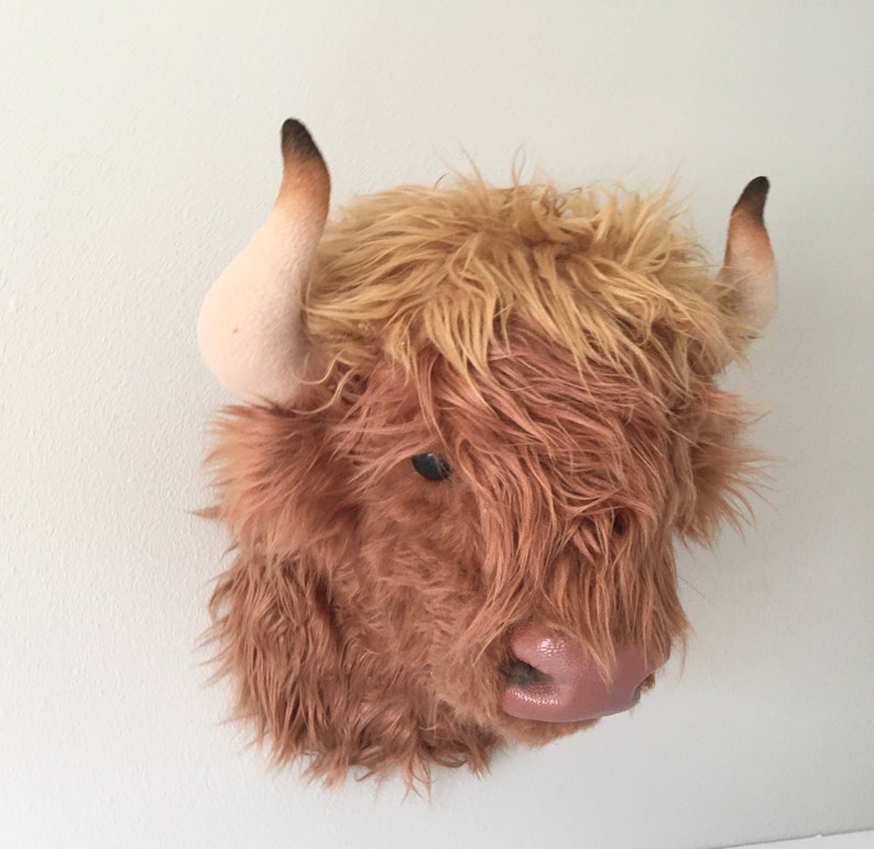 Highland Cow Wall Mount bison Faux Taxidermy Scottish Ox | Etsy