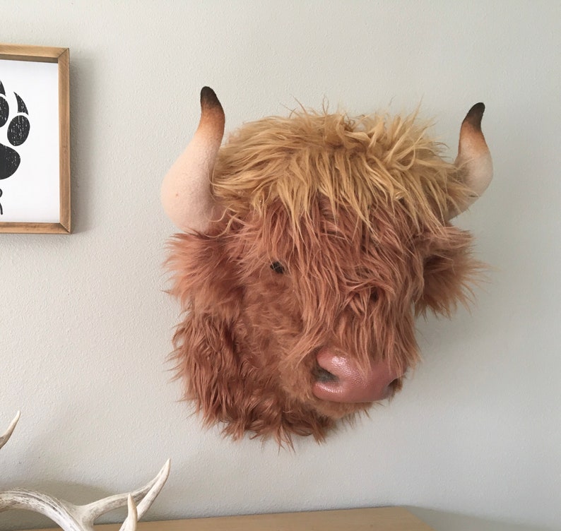 Highland Cow Wall Mount bison Faux Taxidermy Scottish Ox | Etsy