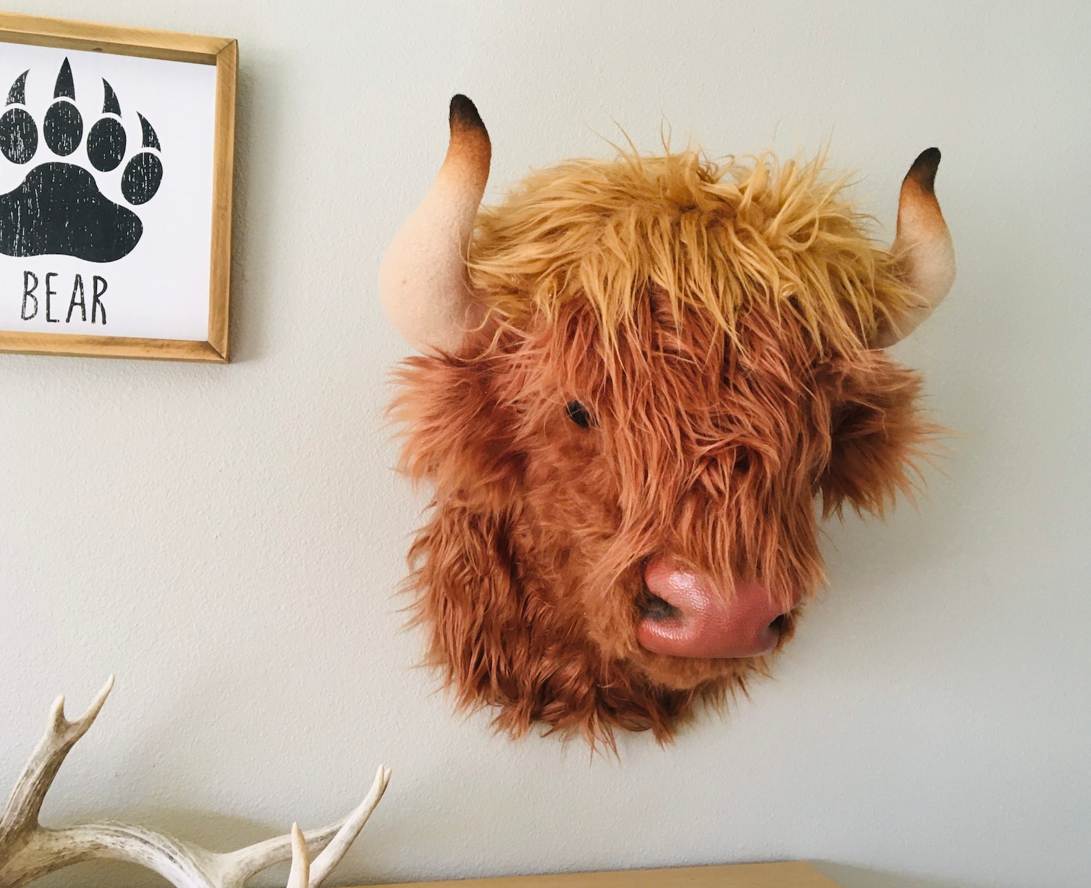 Highland Cow Wall Mount bison Faux Taxidermy Scottish Ox | Etsy