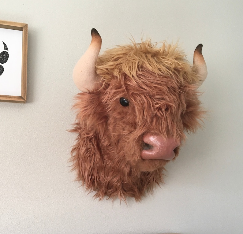 Highland Cow Wall Mount bison Faux Taxidermy Scottish Ox | Etsy