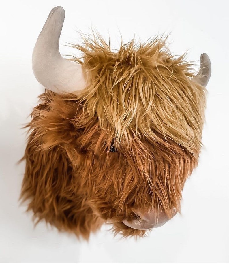 Highland Cow Wall Mount bison Faux Taxidermy Scottish Ox | Etsy