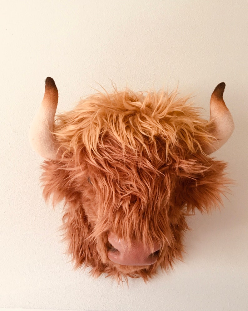 Highland Cow Wall Mount Bison Faux Taxidermy Scottish Ox | Etsy