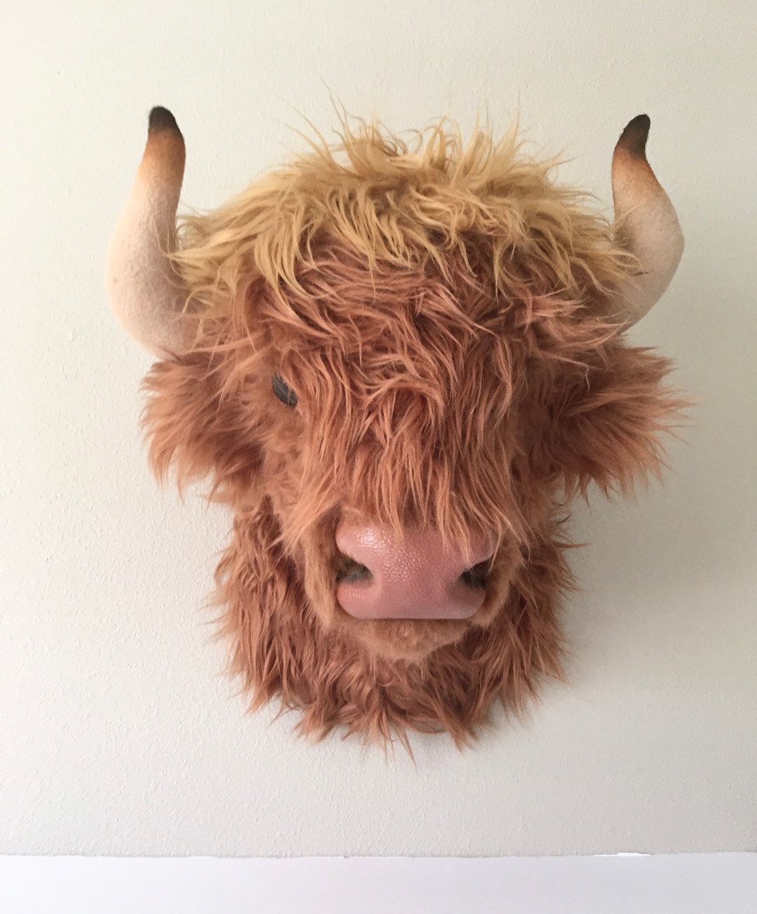 Highland Cow Wall Mount -bison Faux Taxidermy- Scottish Ox Nursery ...