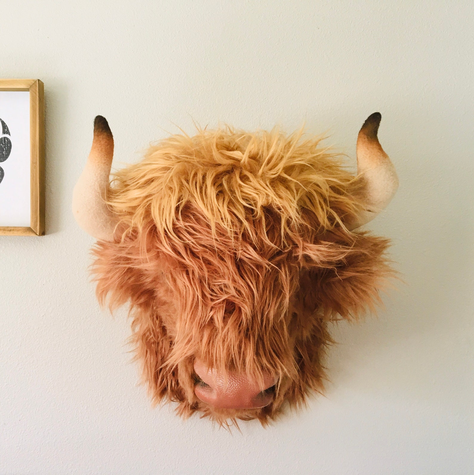 Highland Cow Wall Mount Bison Faux Taxidermy Scottish Ox | Etsy