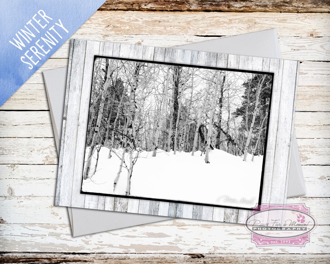 Winter Aspen Forest Note Card, Blank Greeting Card With Envelope - Etsy
