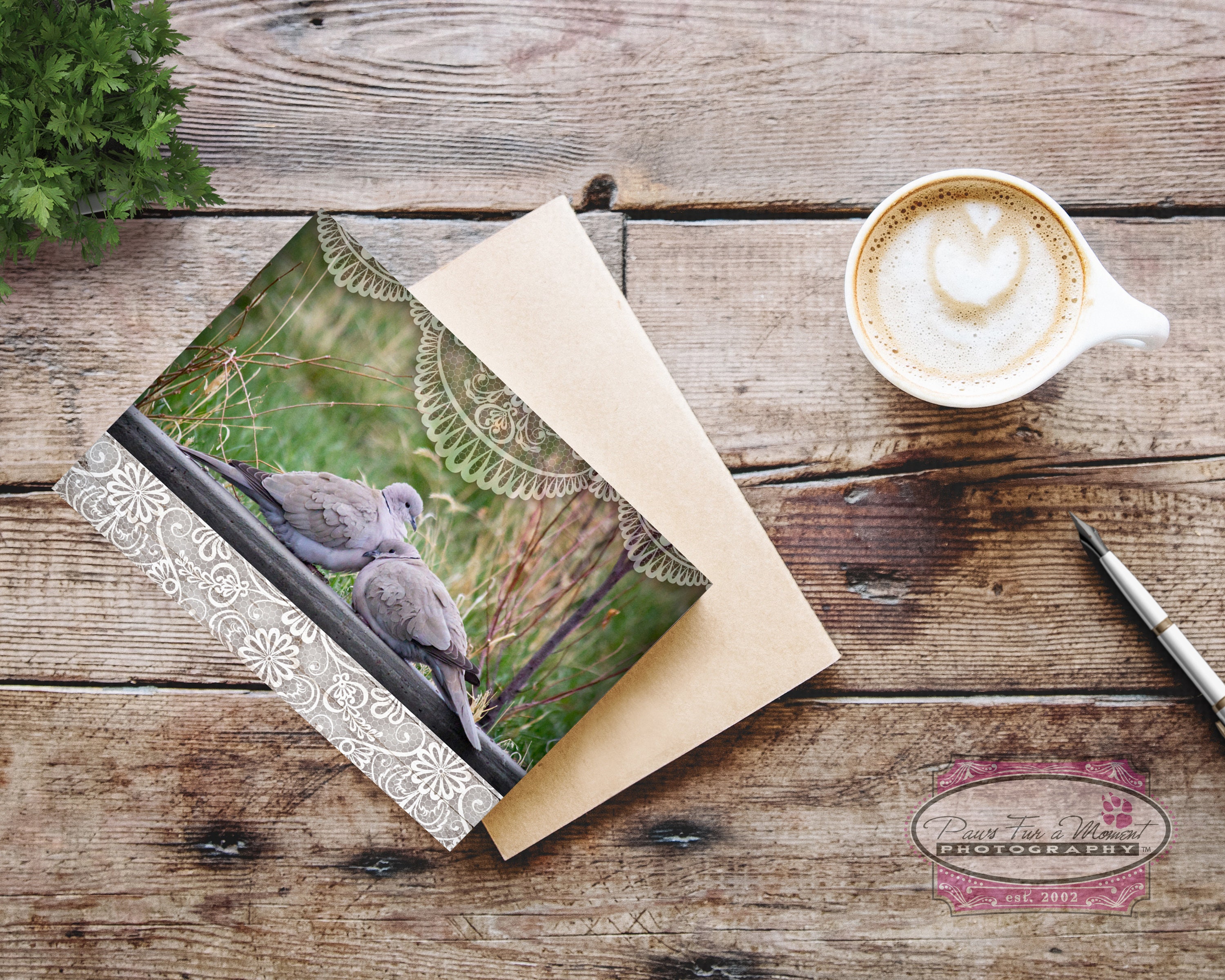 Dove Note Card Eurasian Collared Doves Valentine Card Love - Etsy España