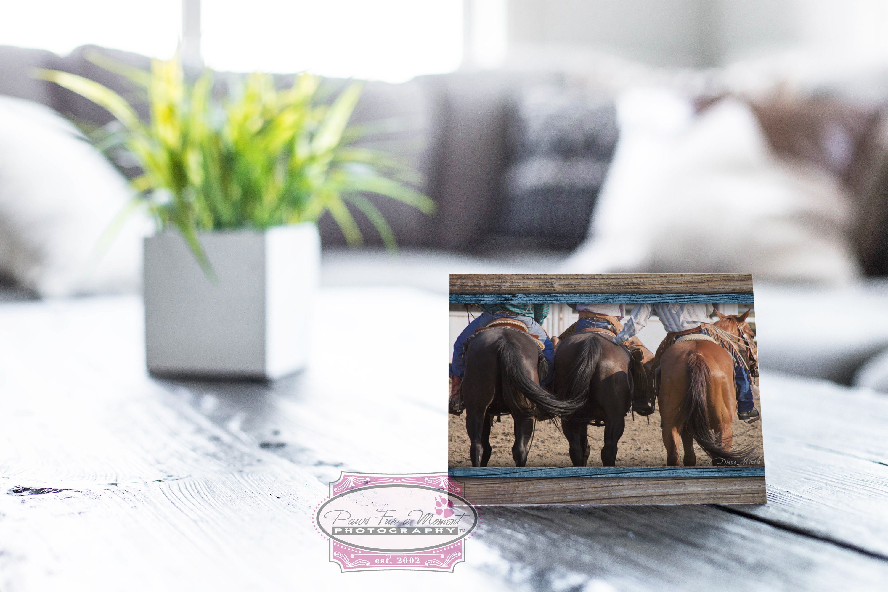 Cowboy Note Card, Rodeo Note Card, Horses Card, Western Note Card ...